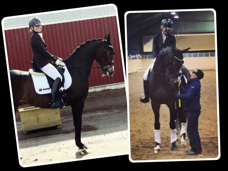 Fina placeringar till Daniella Hansson | knytkalaset